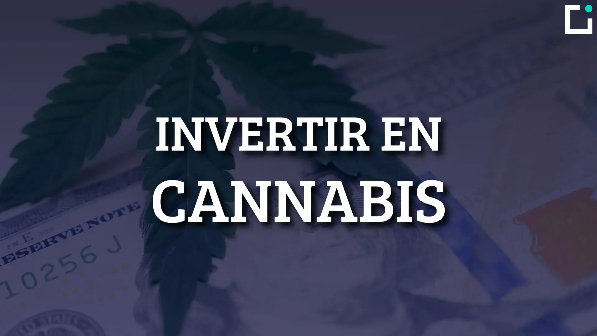 Invertir En Cannabis Guía Completa Tipos De Inversión